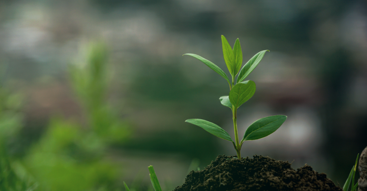 Will the next generation donate differently? | Inpay